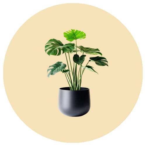 Artificial Plants - BuyonBudget